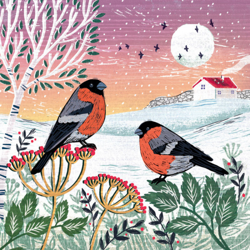 Amnesty Christmas Card Collection x 10 - boobalou.co.uk